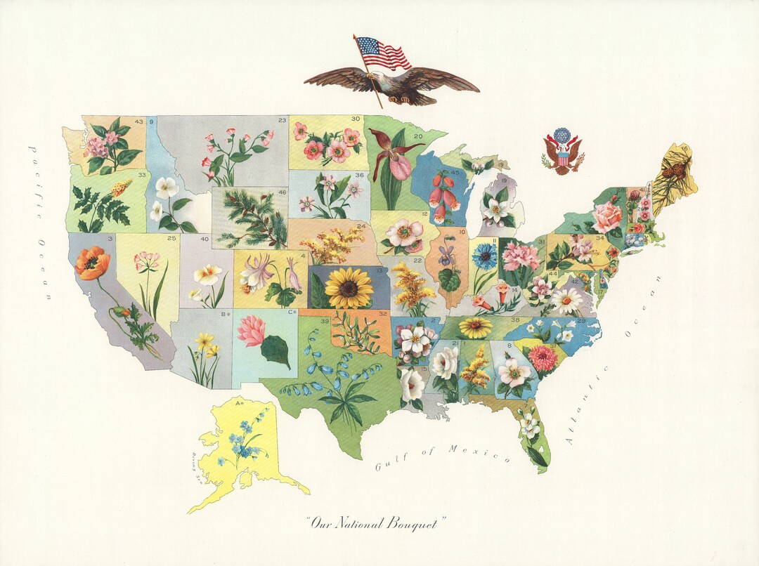 Vintage US State Flower & Botanical Map Digital Download - Etsy