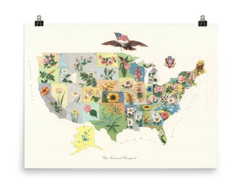 Flower Map, Flower Art, State Flower Chart, Florist, Flower Poster ...