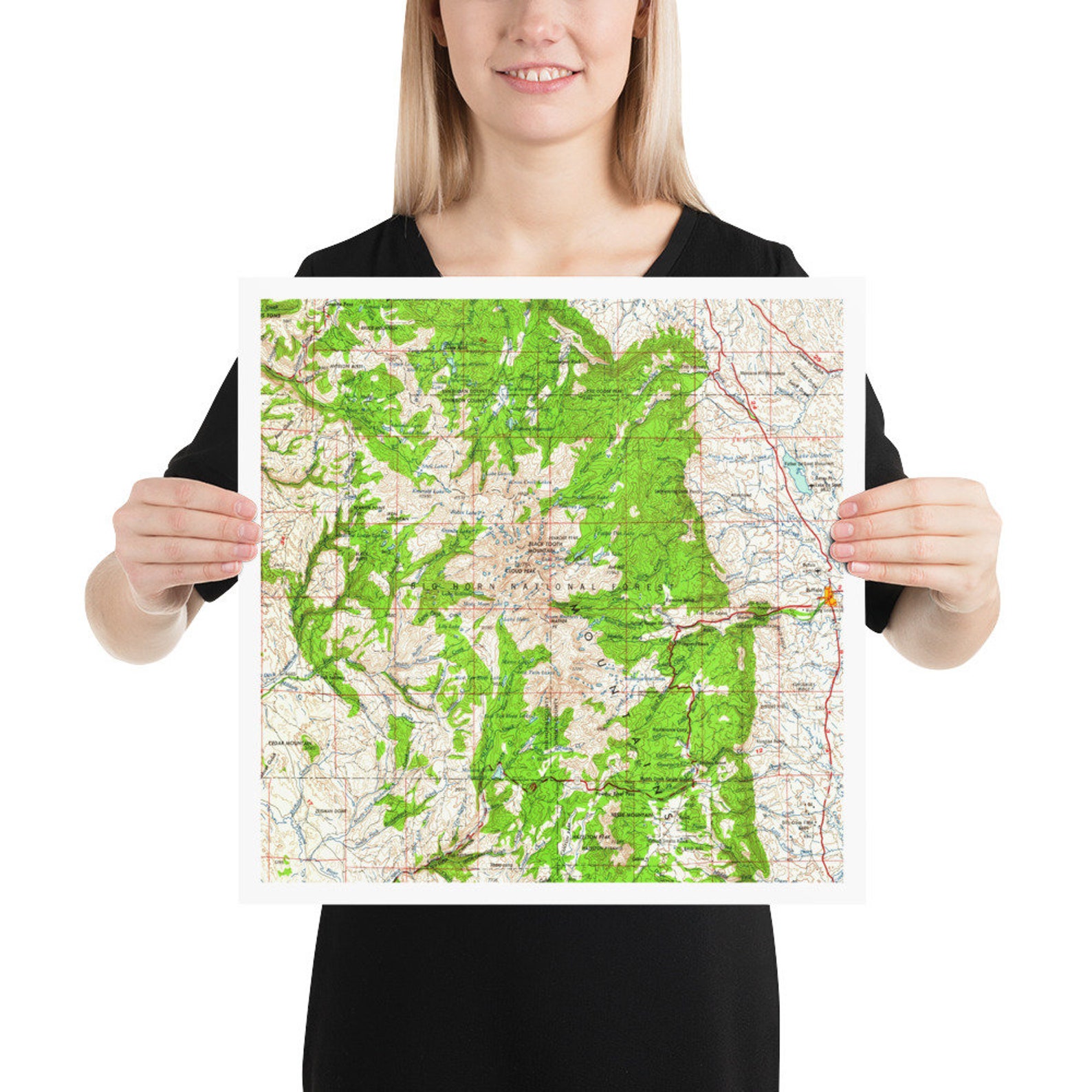 Old Bighorn National Forest Map (1962) Vintage Wyoming Woodland Reserve ...