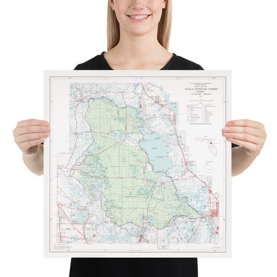 Ocala National Park Map Ocala National Forest (2025) All You Need To
