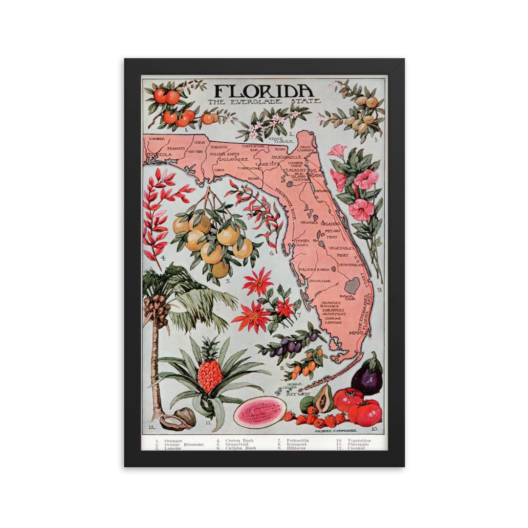 Vintage Florida Map (1917) Vegetation Illustrative Atlas Framed Poster ...