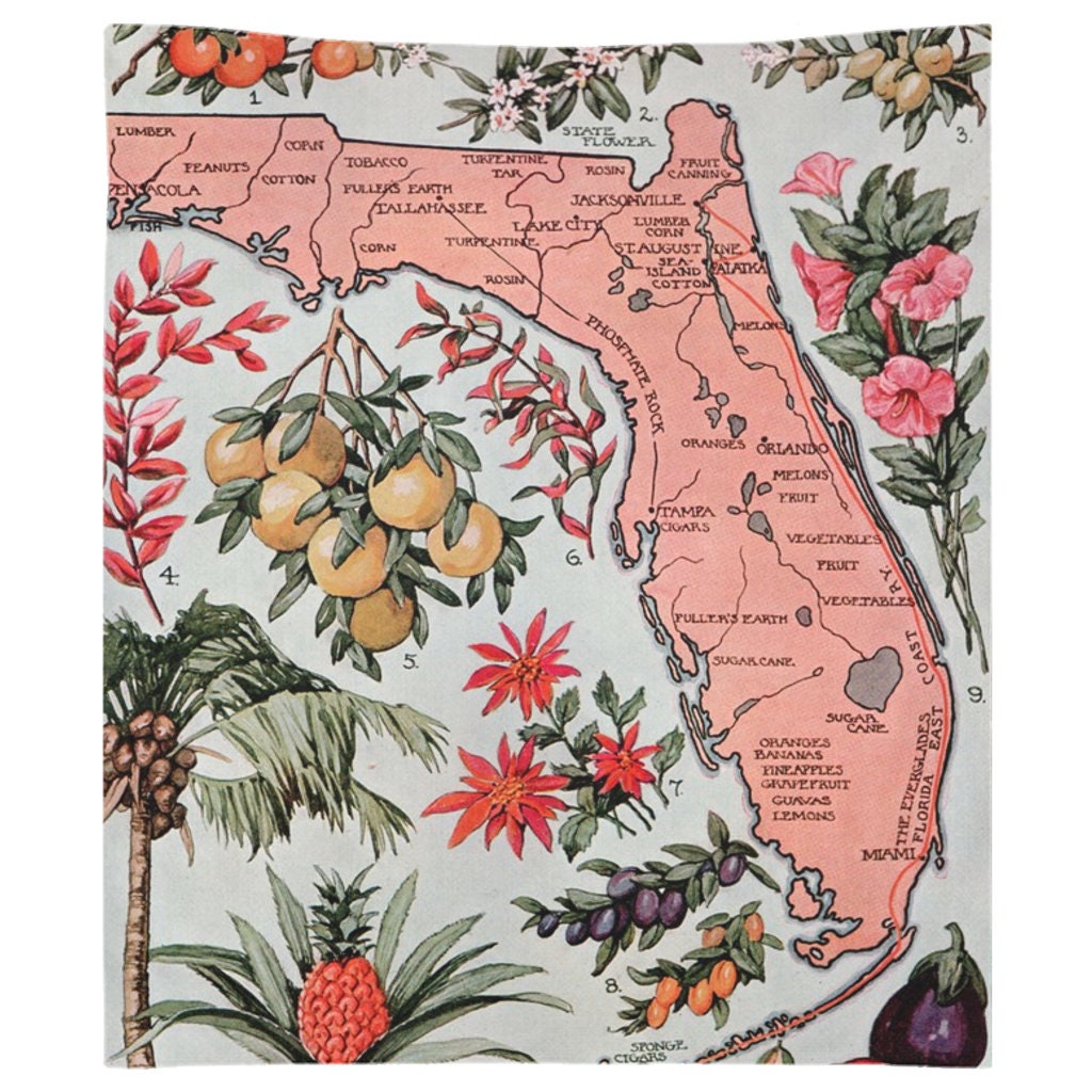 Vintage Florida Map Tapestry 1917 Vegetation Illustrative | Etsy