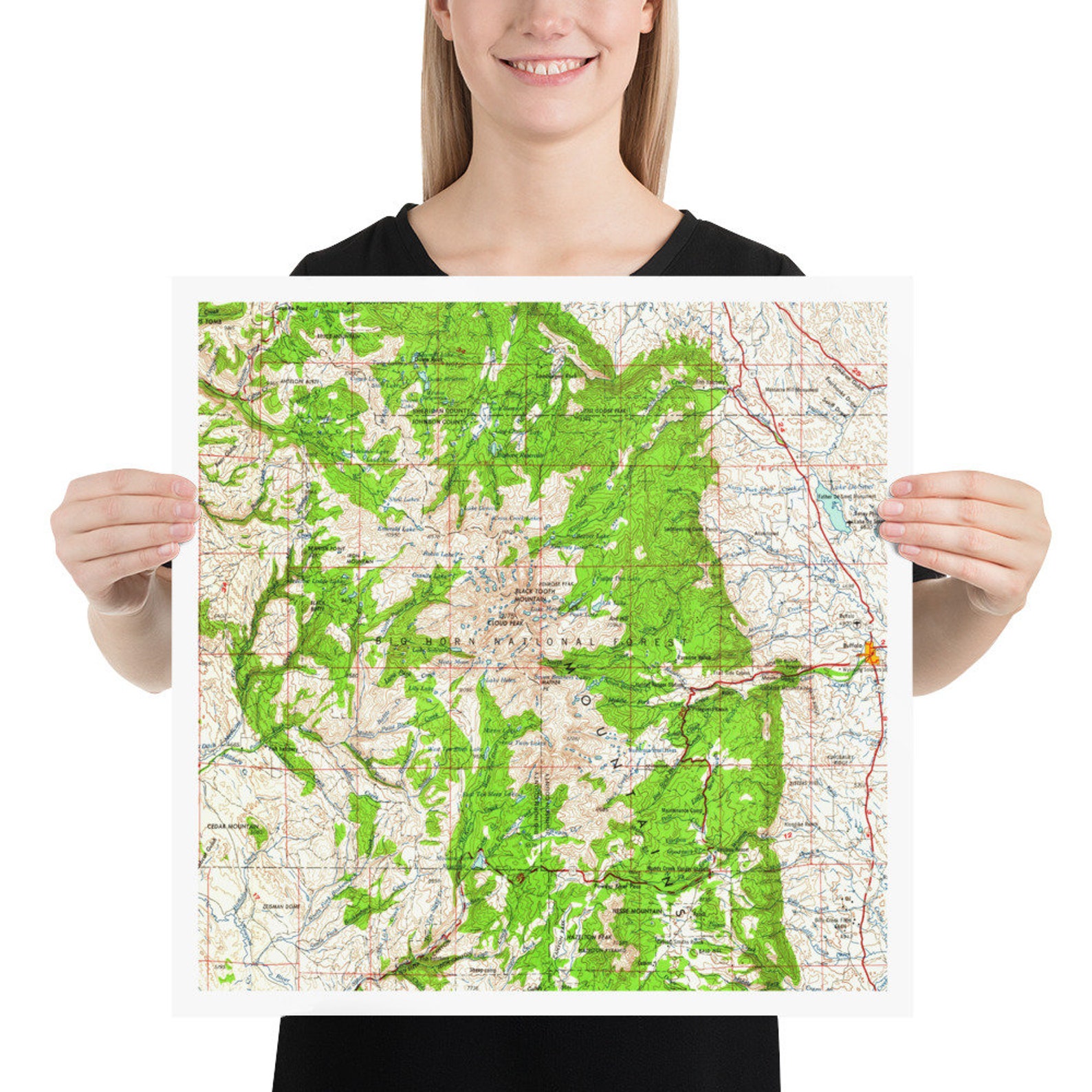 Old Bighorn National Forest Map (1962) Vintage Wyoming Woodland Reserve ...