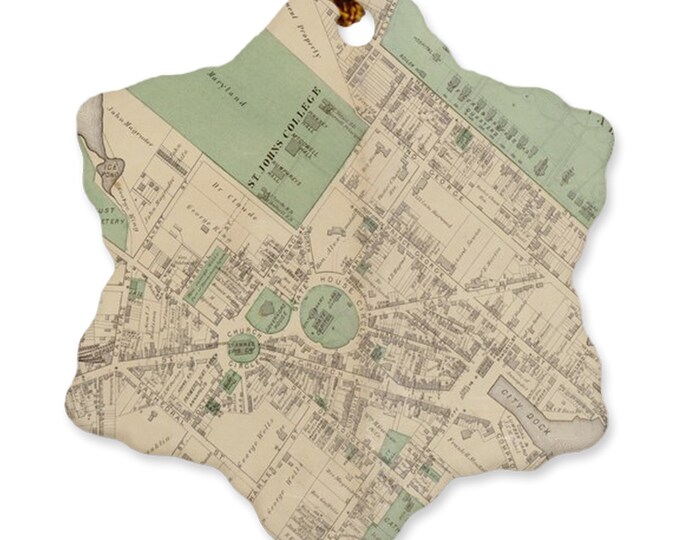 Old Ithaca NY Map 1866 Vintage Finger Lakes New York City | Etsy