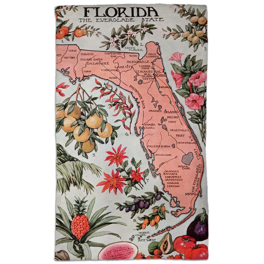 Vintage Florida Map 1917 Vegetation Illustrative Atlas Hand - Etsy