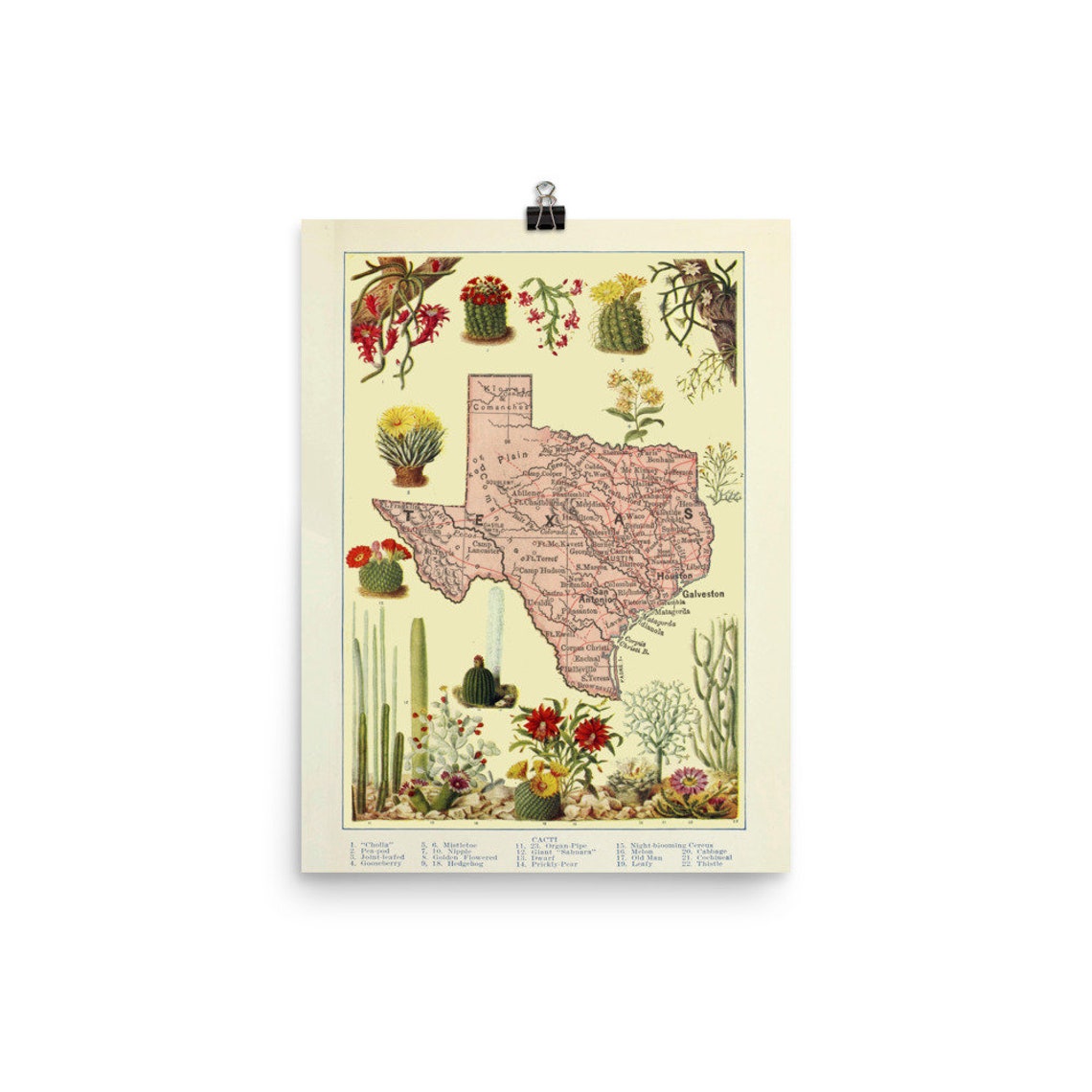 Vintage Texas Map 1920 TX Garden & Cactus Atlas Poster - Etsy