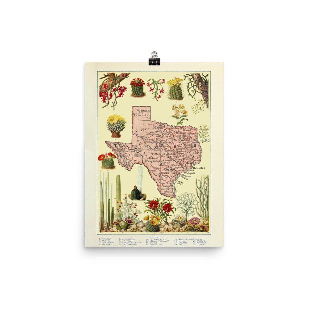 Vintage Texas Map 1920 TX Garden & Cactus Atlas Poster | Etsy