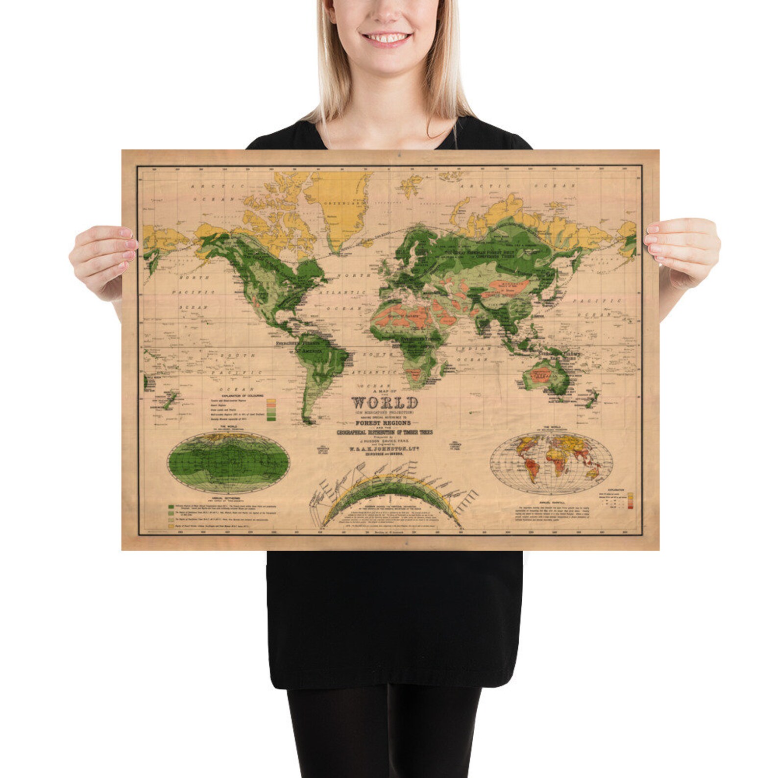 Old World Forest Map (1916) Vintage Global Tree & Vegetation Atlas ...
