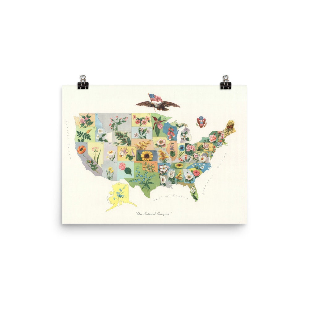 Vintage US State Flower & Botanical Map Poster | Etsy