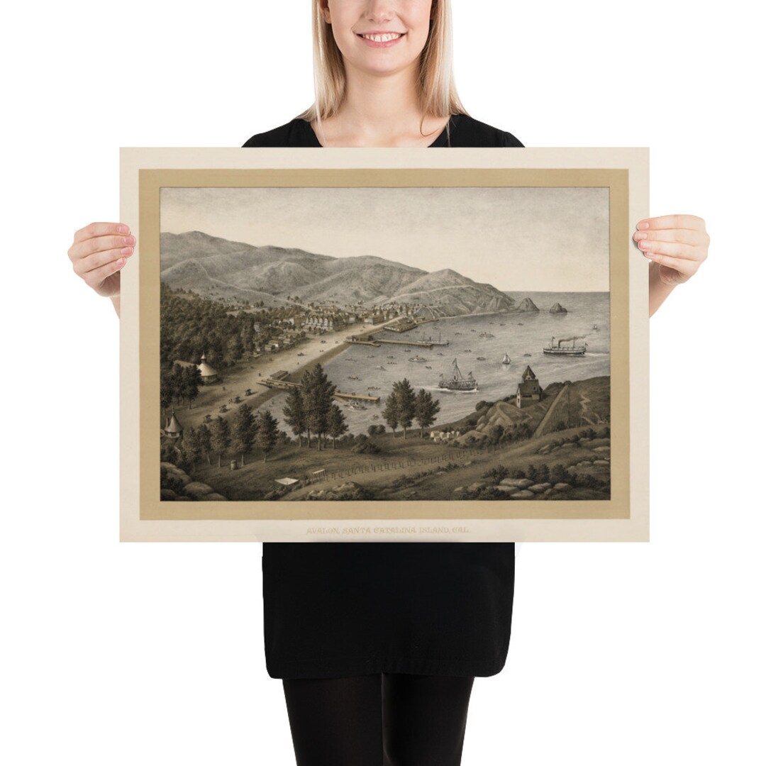 Vintage Avalon Santa Catalina Map (1885) Old Channel Islands of ...