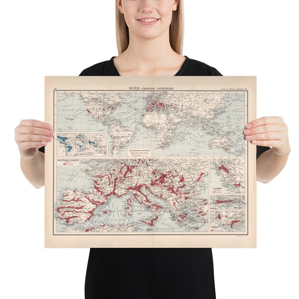 Old World Wine & Vineyards Map 1907 Vintage Viticulture - Etsy