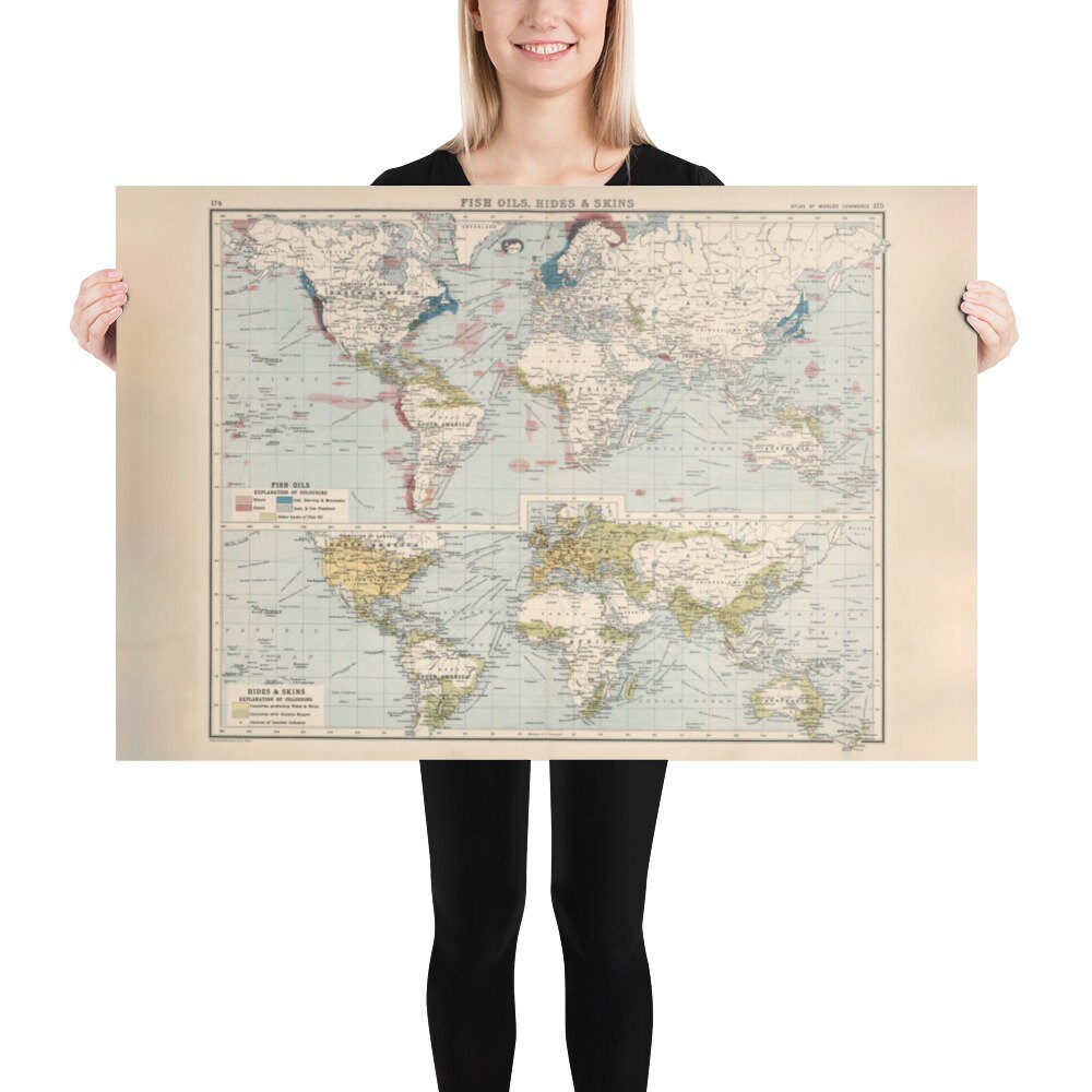 Old World Whaling Map 1907 Vintage Global Fish Oil Industry - Etsy