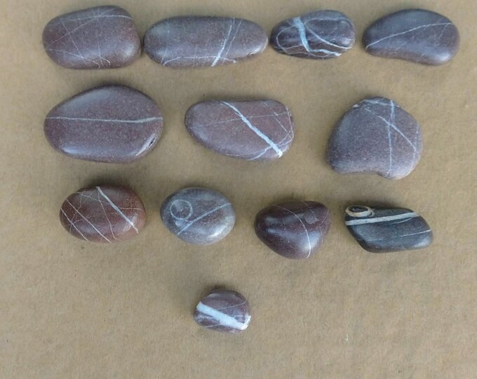 12 Brown Striped Sea Stones, Varnished Wishing Stones, Varnished Brown ...