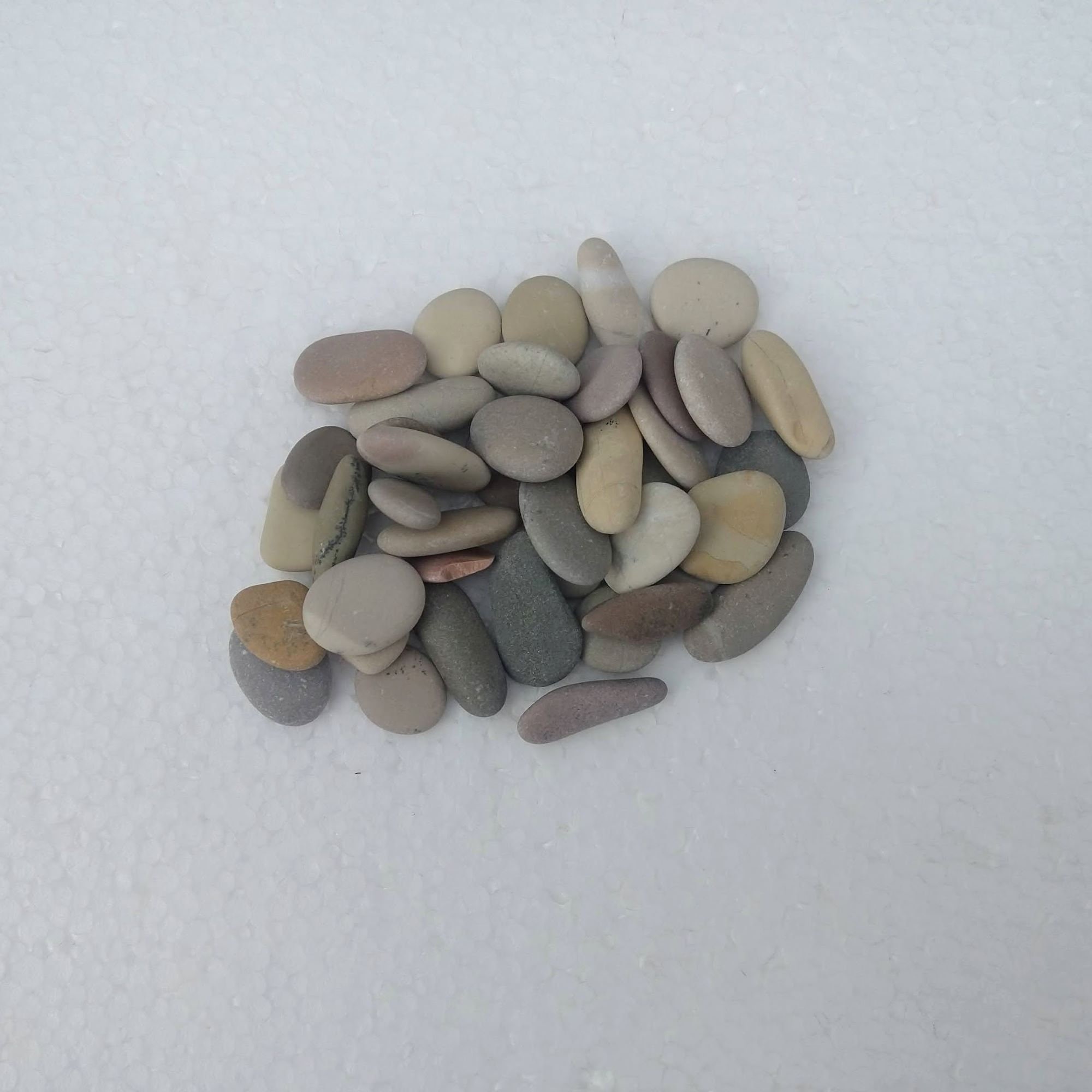 40 Flat Thin Pebbles for Pebble Art Pebble Art Set Flat - Etsy