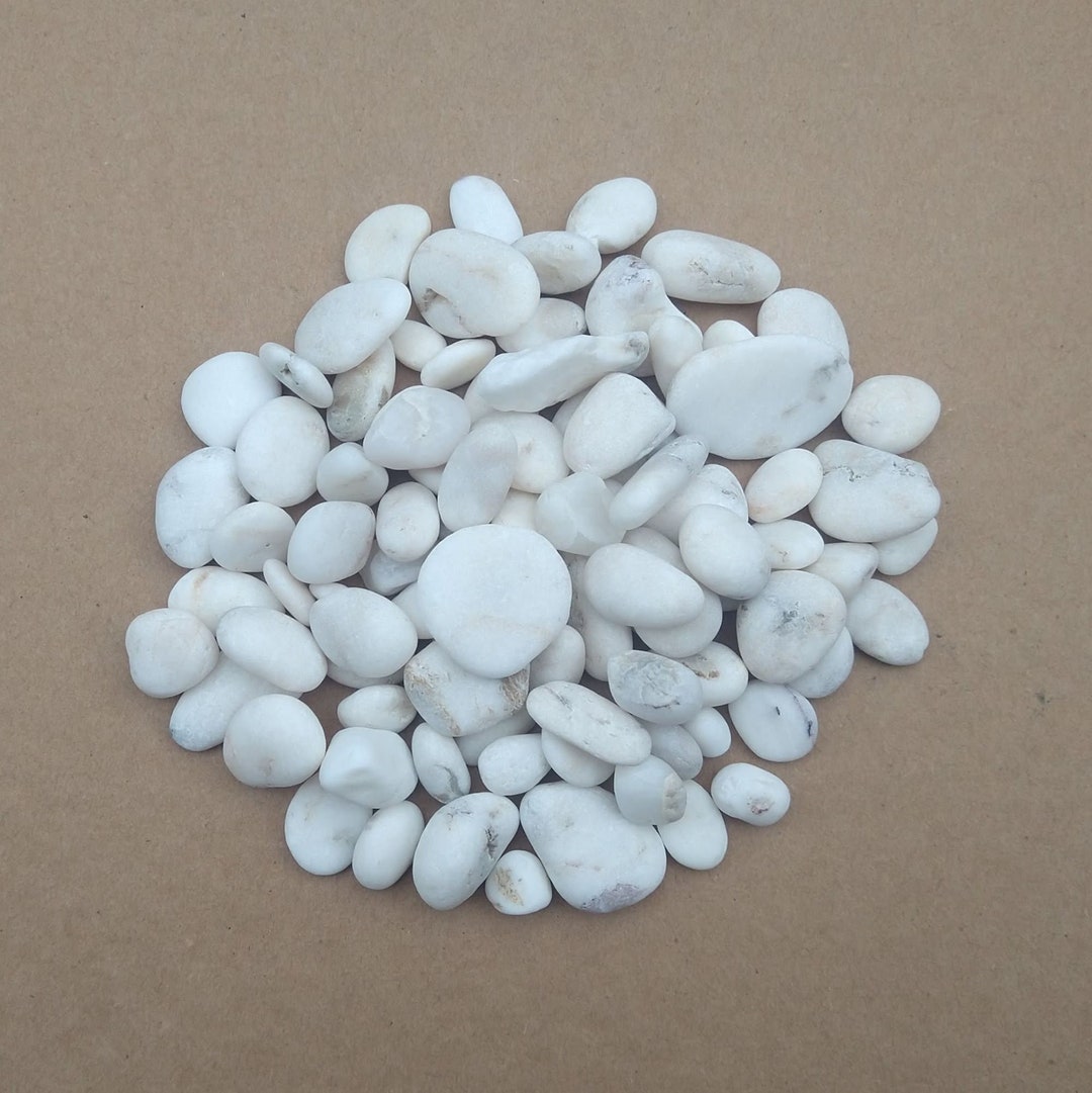 Natural Vivid White Beach Pebbles, Bulk Small White Pebble Nuggets, 80 ...