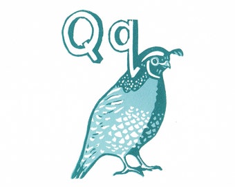 Q is for Quail | Etsy