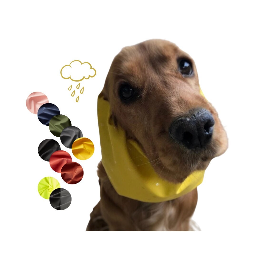 Waterproof Dog Snood Protects Your Dog Long Ears From Rain, Snow and ...