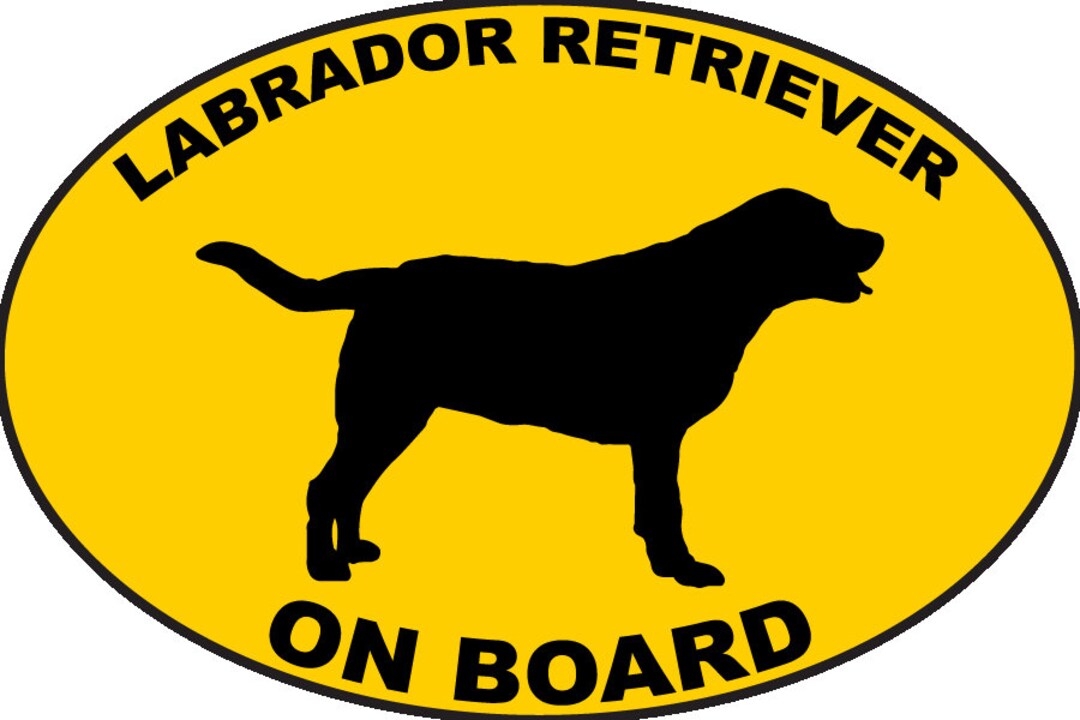 Labrador Retriever on Board - Etsy