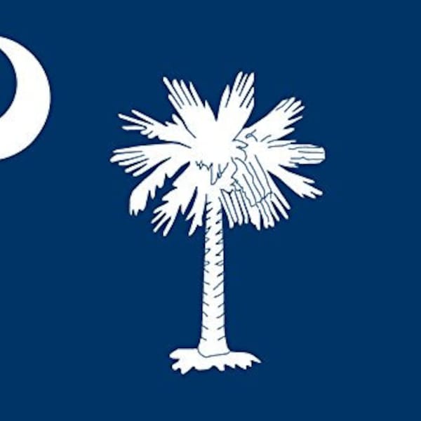 South Carolina Decal - Etsy