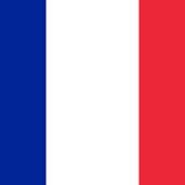 French Flag Car Decal - Etsy