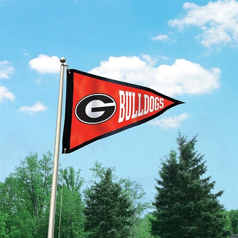 University of Georgia Bulldogs 3x5 Foot Giant Banner Flag Pennant ...