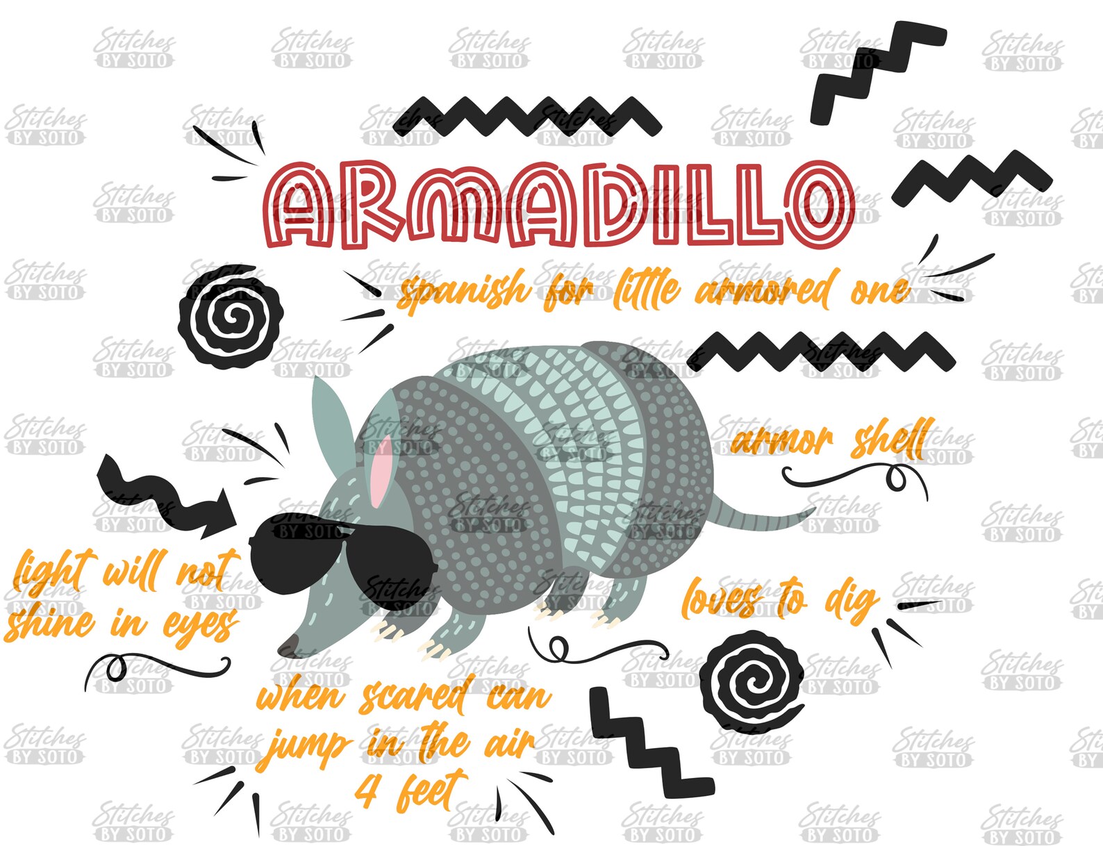 Digital Download, Armadillo, Fun Facts, Silly, Cute, Kid Friendly - Etsy