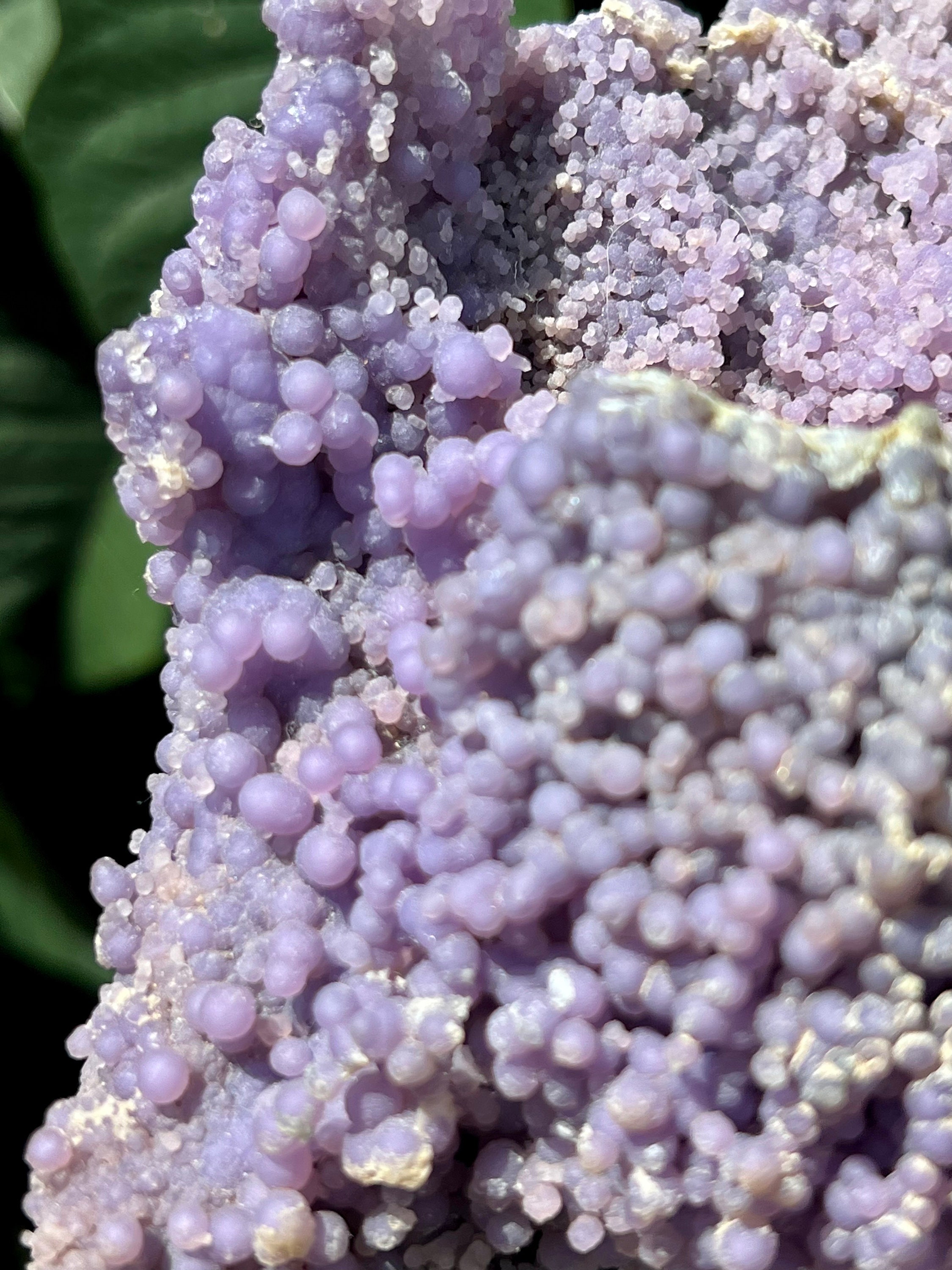 Grape Agate Botryoidal Chalcedony - Etsy
