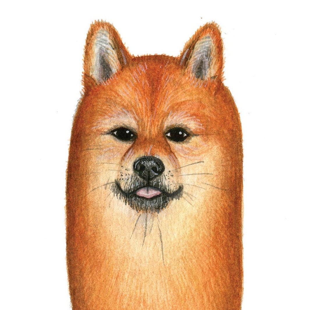 Corn Dog Greeting Card / Japanese Shiba Inu Happy Birthday - Etsy