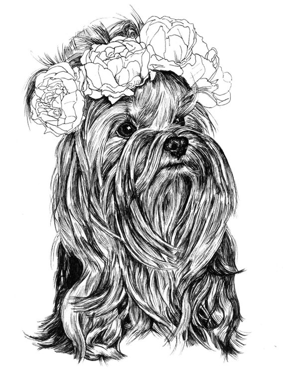 Custom Pet Portrait Ink Drawing Custom Dog Portrait Drawing - Etsy
