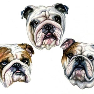 Multiple Dog Pet Portraits Custom Watercolor Group Portrait Paintings ...