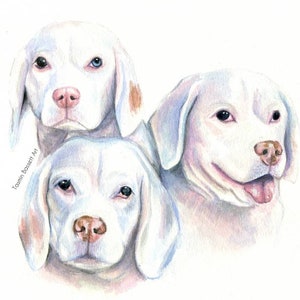 Multiple Dog Pet Portraits Custom Watercolor Group Portrait Paintings ...