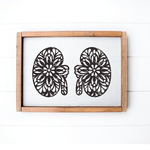 Mandala Kidneys Svg Cut File Laser File Dialysis Hemodialysis ...