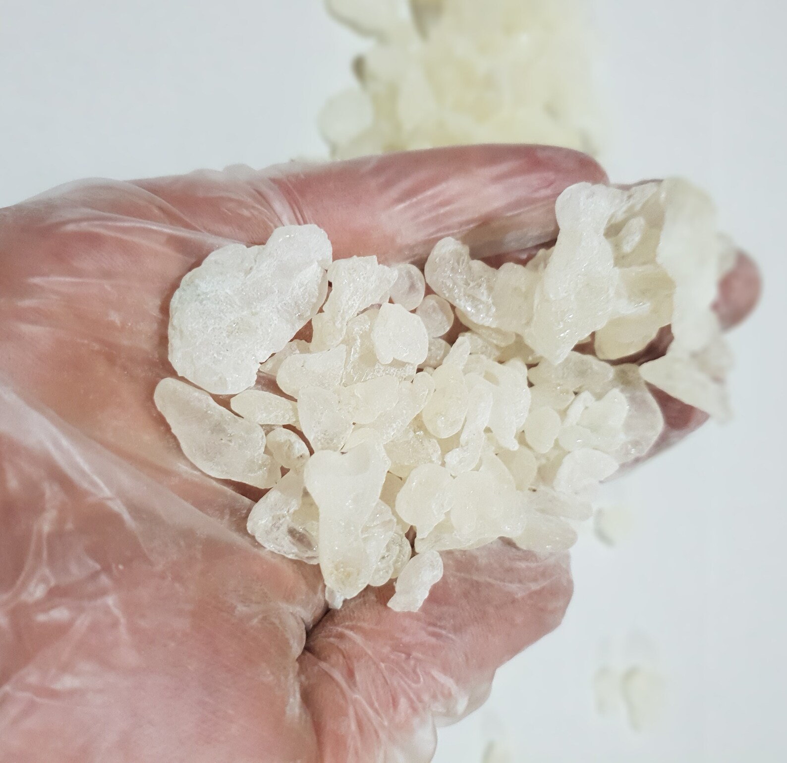 Chios Mastic Gum Mastiha Greek Large Tears 25 grams 4 KG | Etsy