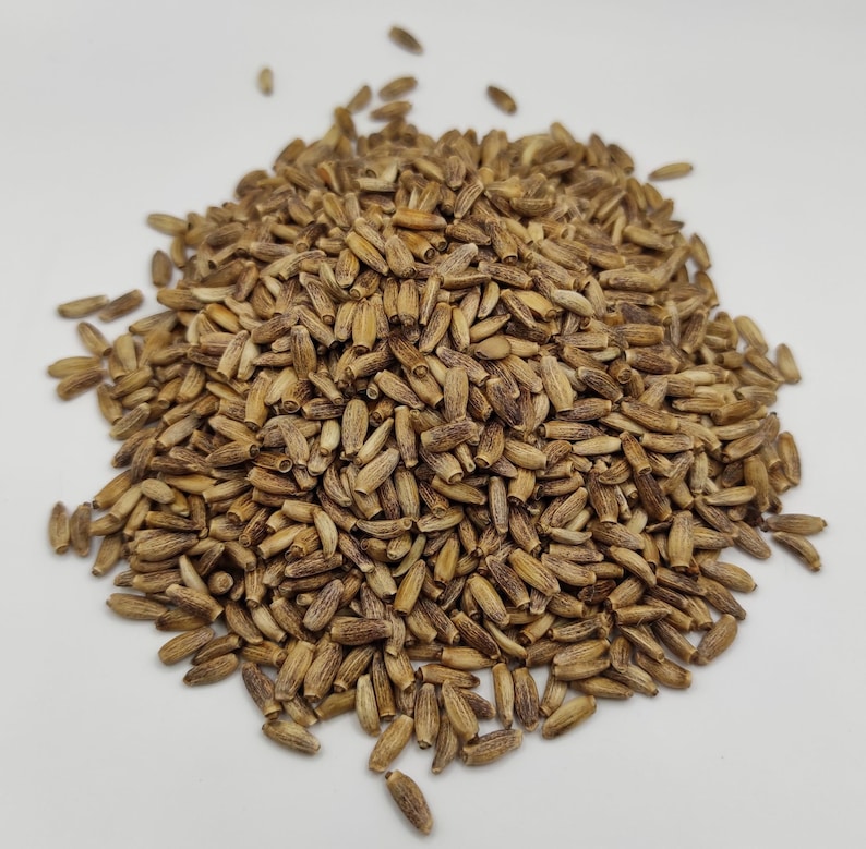 Milk Thistle Seeds 220 Grams (7.8 Oz) | Premium Quality | Silybum ...