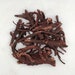 Alkanet Dried Root 85g(3 Oz) - 1.95kg(68.8 Oz) Alkanna Tinctoria | USA ...