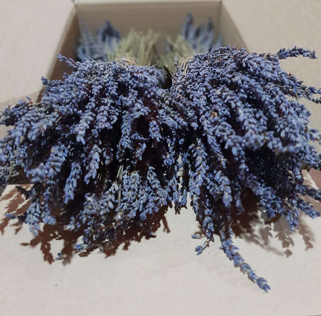 Greek Dried Lavender Bunches Bouquets | Organic | 300 Stems Each | 1 ...