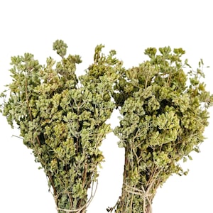 Greek Dried Mountain Oregano Whole Bunch | 2 X 220 Grams (7.8 Oz ...