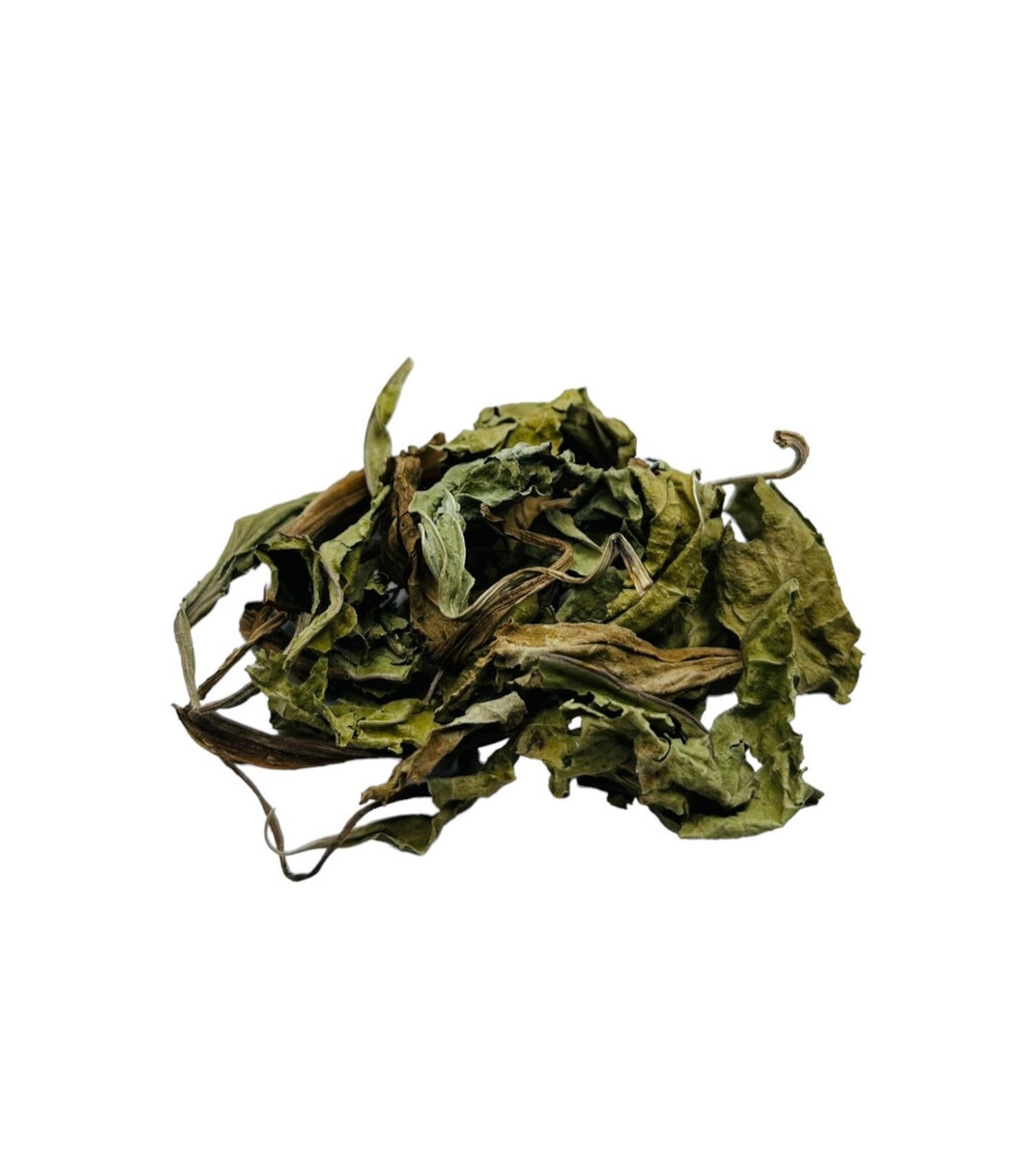 Dried Plantain Whole Leaves 85g - 1.95kg - Premium Quality | Plantago ...