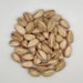 Greek Aegina Pistachio Nuts Unsalted & Roasted in Shell - PDO Product ...