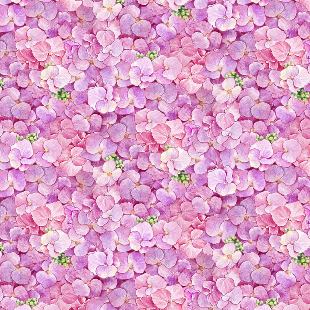 Fancy Tea, Pink Petals, Hydrangea, Carol Wilson Fine Arts, Elizabeth’s ...