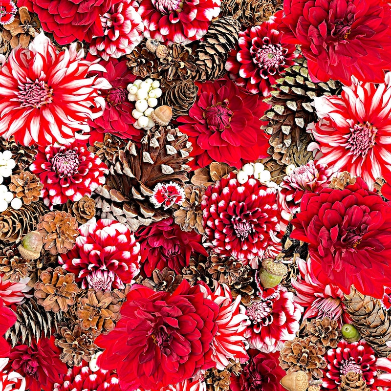 Maywood Red Floral Fabric - Etsy