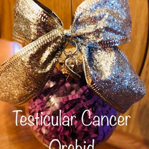 Testicular Cancer Awareness Ornament - Etsy
