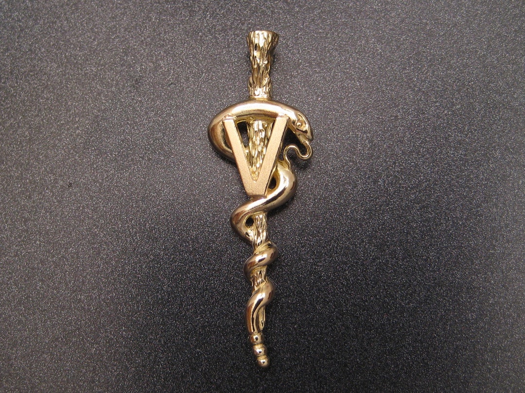 18K Gold Veterinary Staff of Asclepius - Etsy