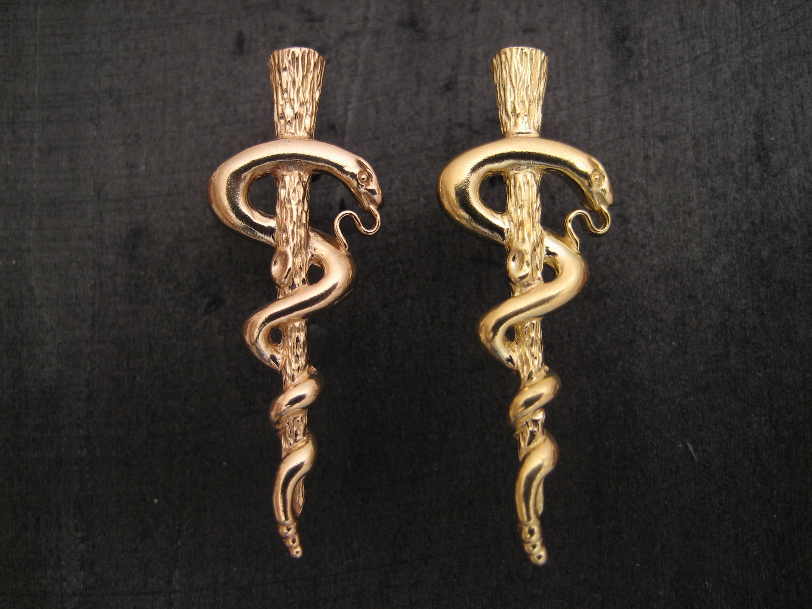 14K Gold Rod of Asclepius Lapel Pin - Etsy New Zealand