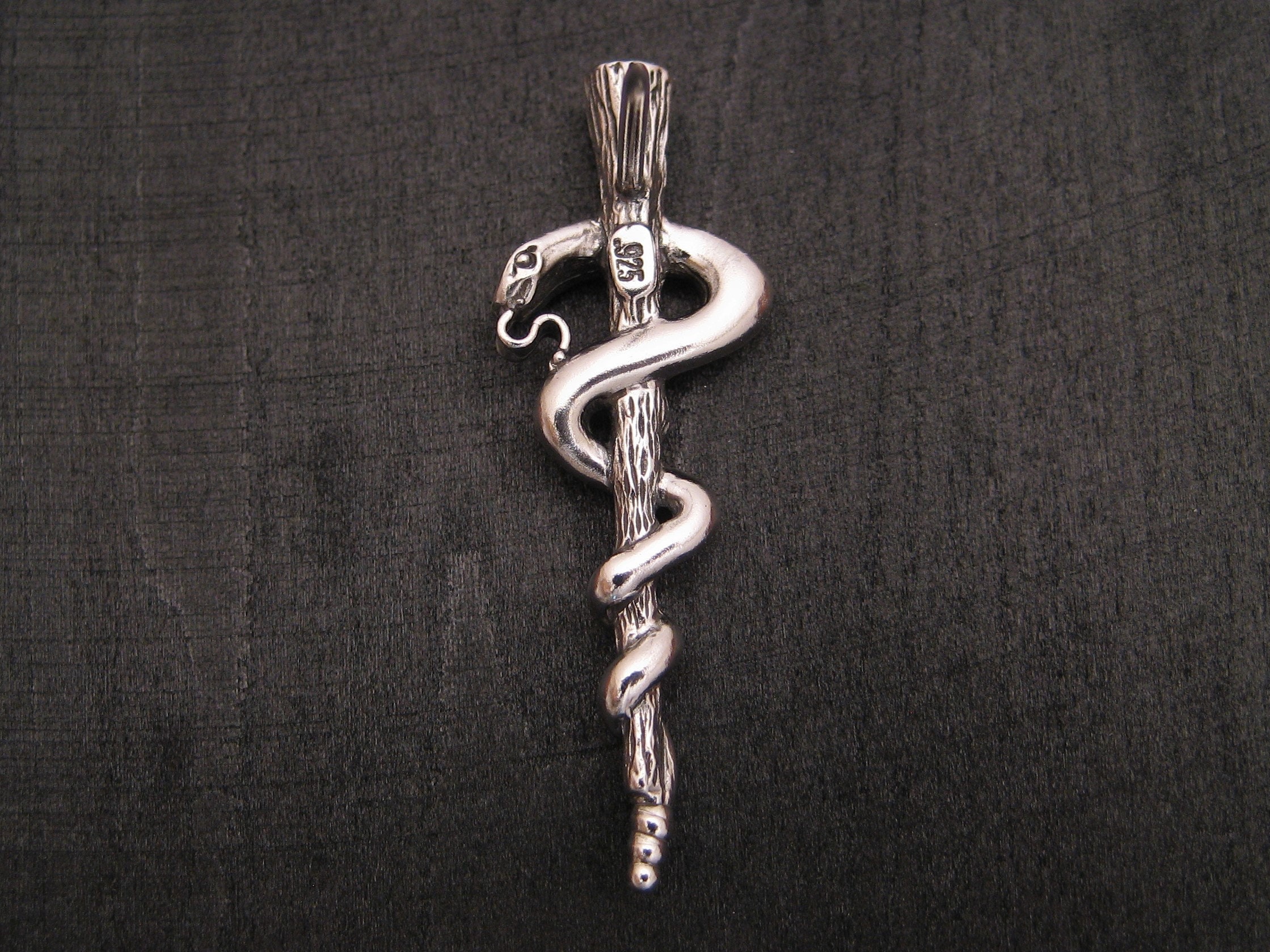 Sterling Silver Asclepius Lapel Pin - Etsy