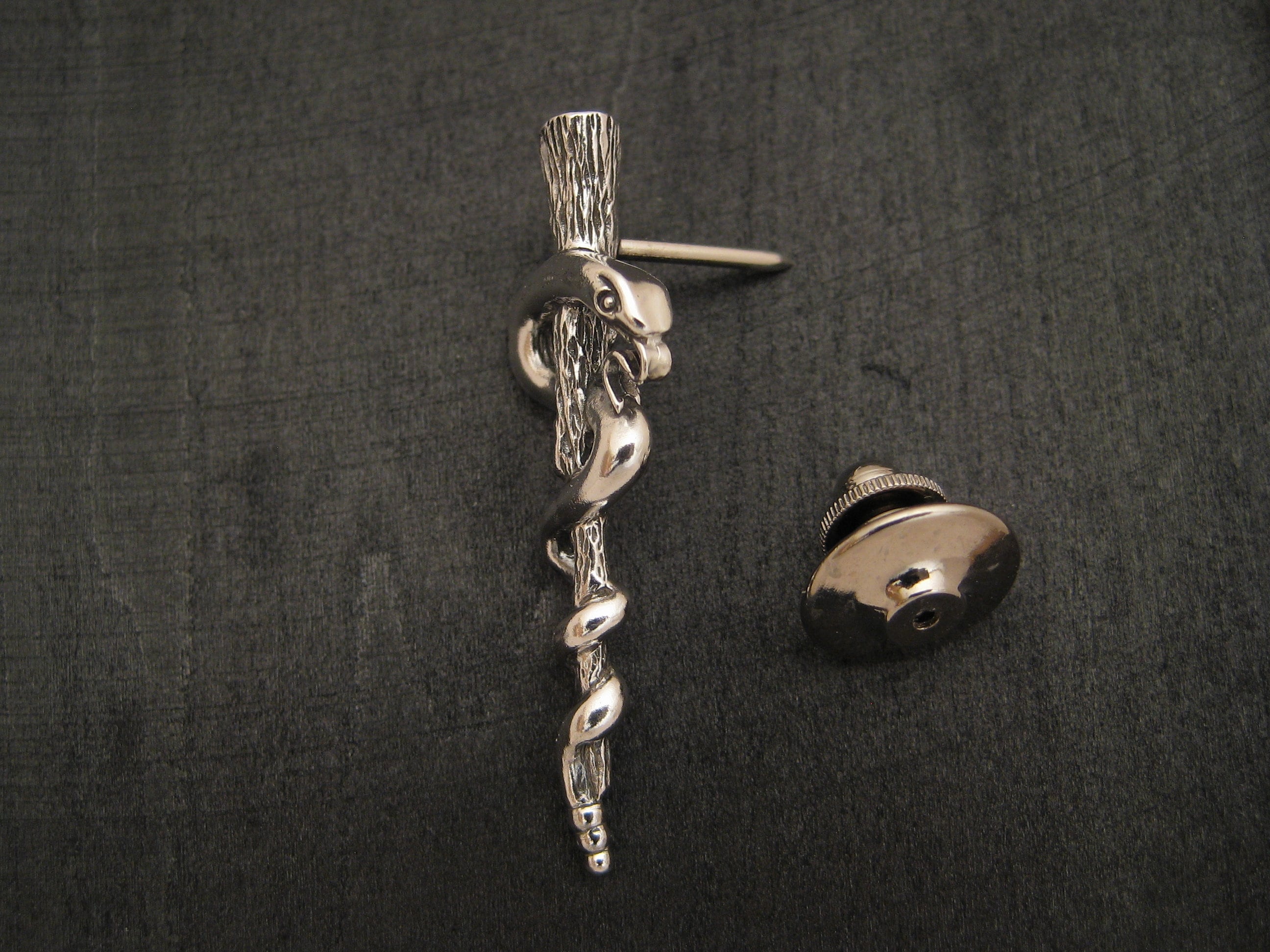 Sterling Silver Asclepius Lapel Pin - Etsy