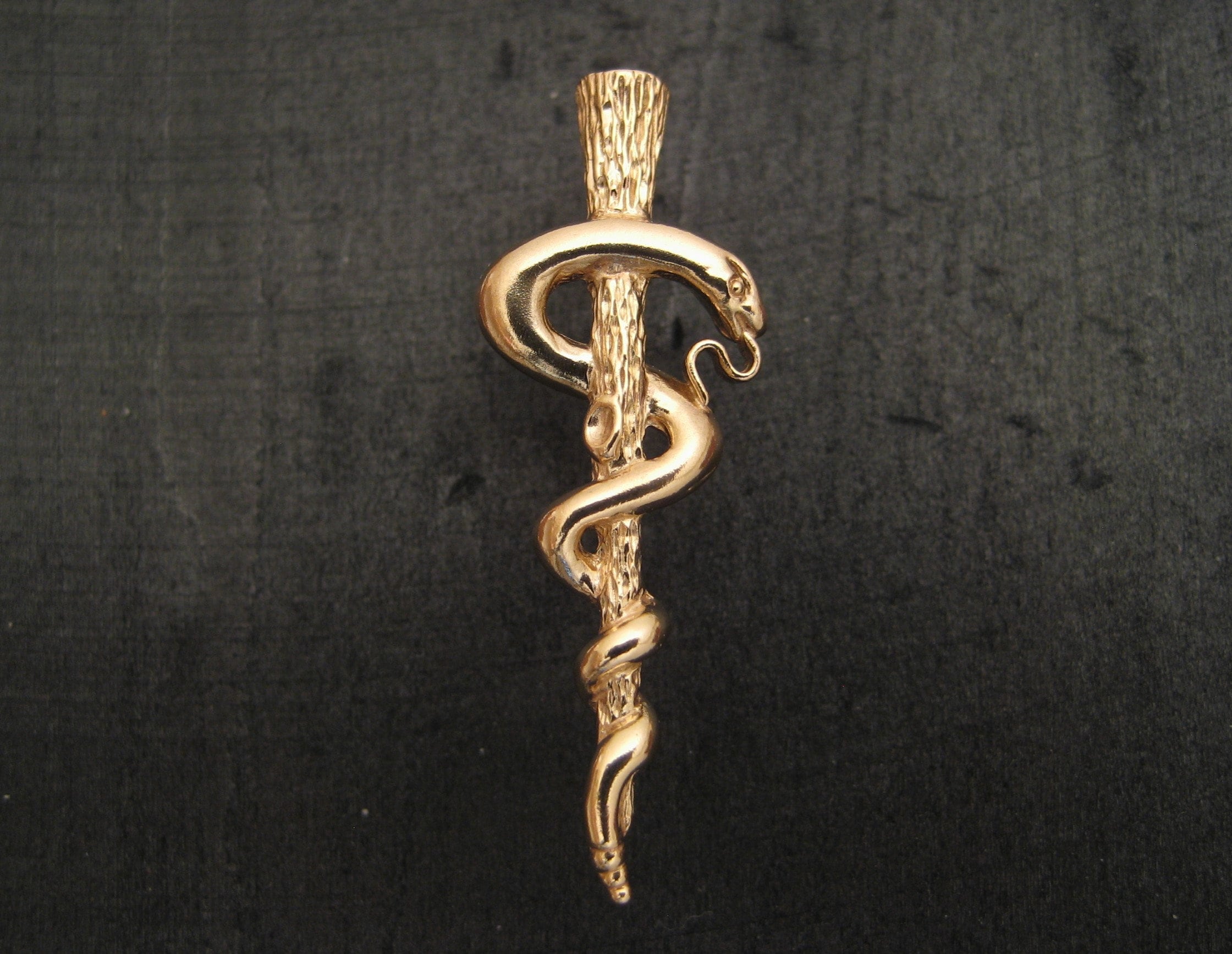 14K Gold Rod of Asclepius Lapel Pin | Etsy