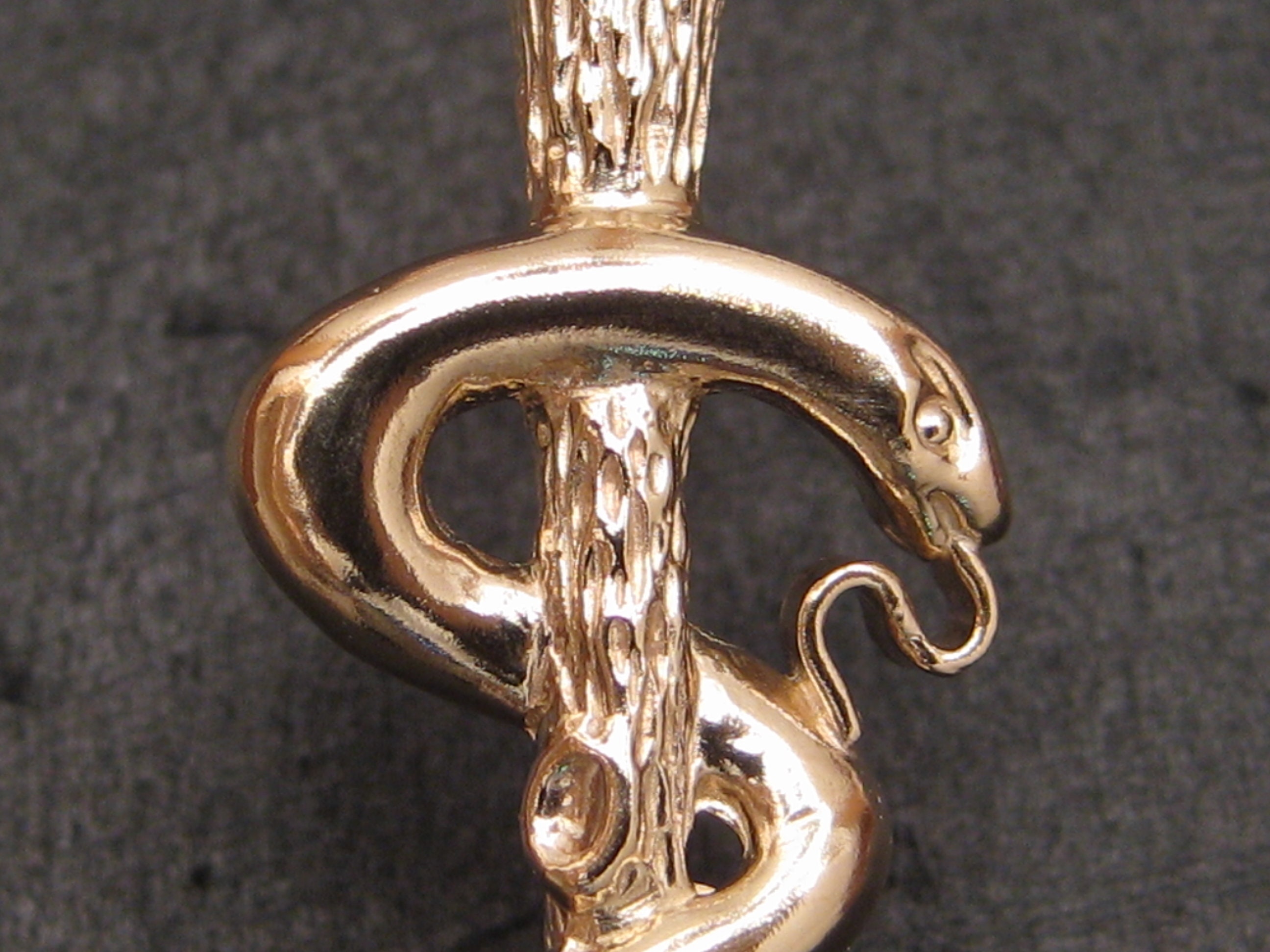 10K Gold Staff of Asclepius Lapel Pin - Etsy
