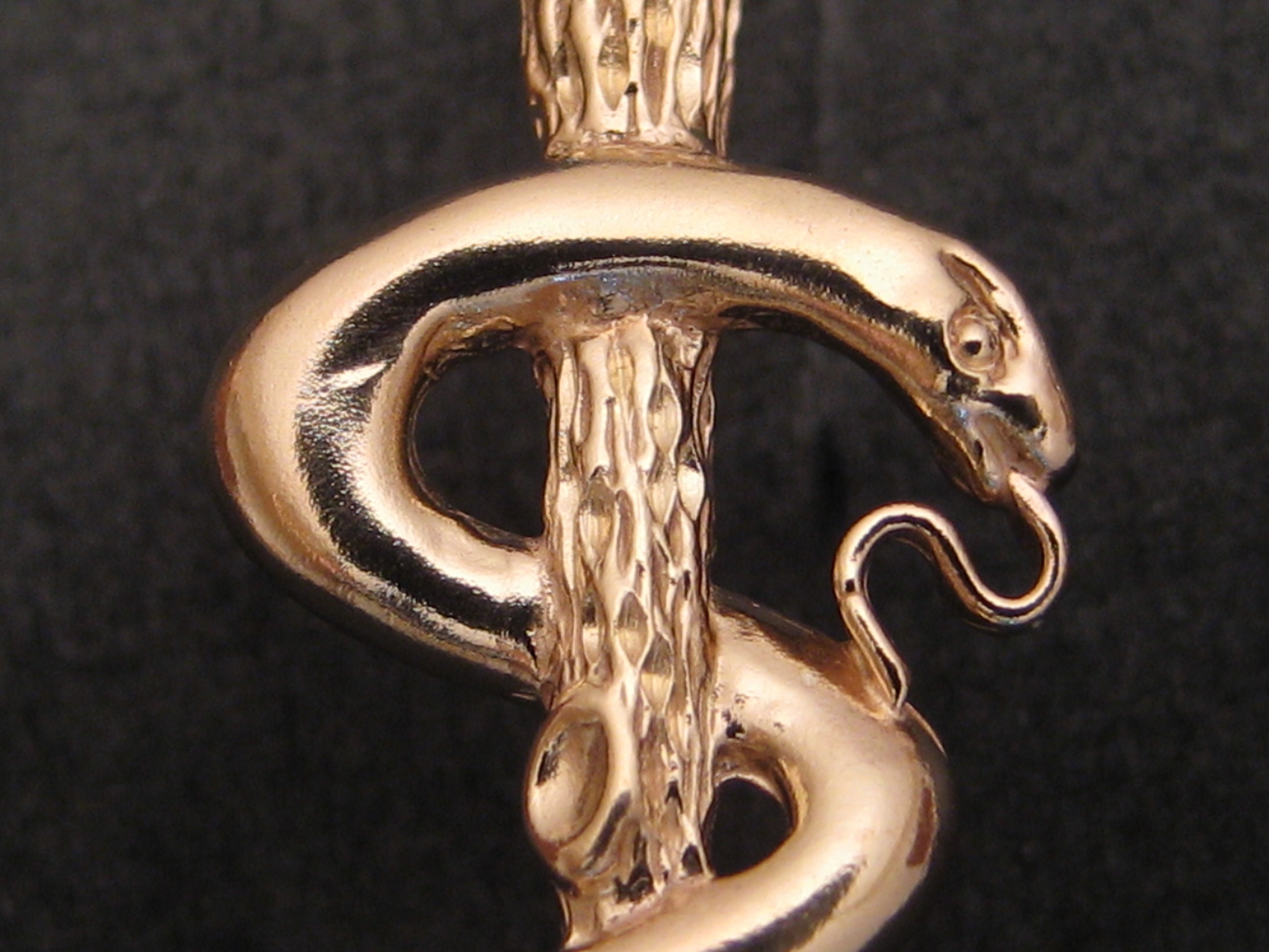 14K Gold Rod of Asclepius Lapel Pin | Etsy