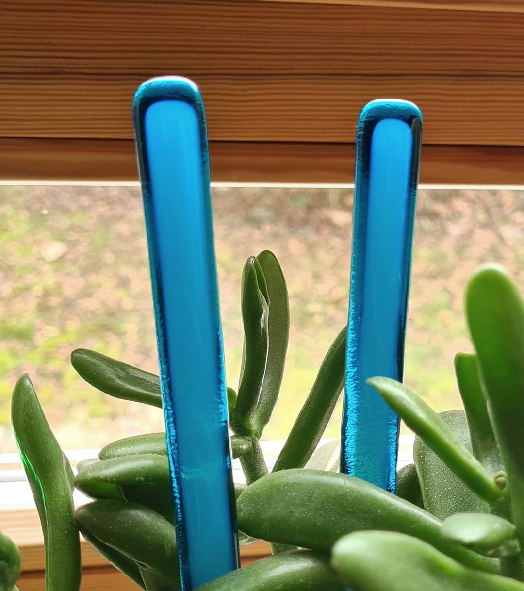 Small Modern Plant Plug... Window Decoration... Gift - Etsy